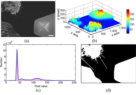 Histogram Thresholding For The Segmentation Of An Sem Image A A