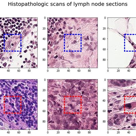 Random Sampling Of The Dataset Download Scientific Diagram