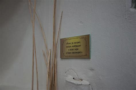 Реальные розги