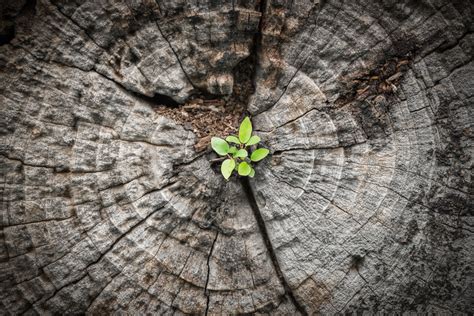 GitLab Partners With Google Cloud To Launch Cloud Seed CDOTrends