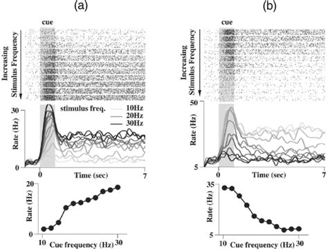 Persistent Neural Activity Of The Parametric Working Memory Model A Download Scientific