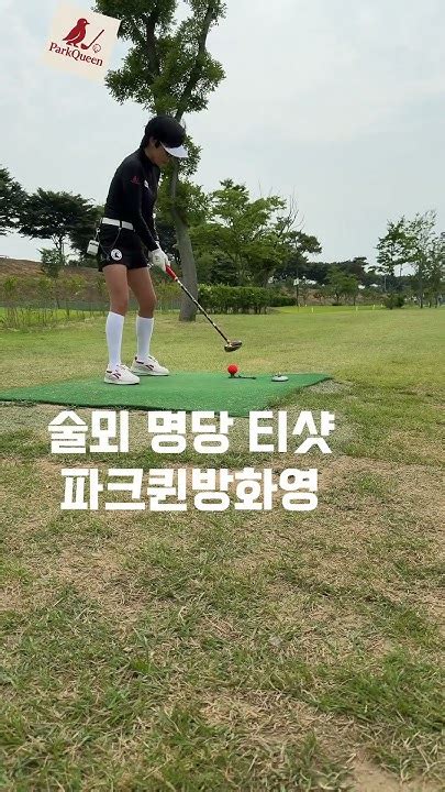 술뫼파크골프장 명당티샷 파크퀸방화영 파크골프채 파크골프스윙 파크골프대회 Pgk파크골프킹 Youtube