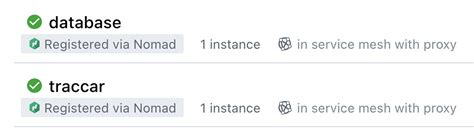 Job Failed Consul Connect Nomad Hashicorp Discuss