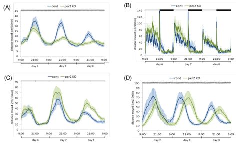 Locomotor Activity Based Assay Of The Per2 Ko And Wt Larvae A The