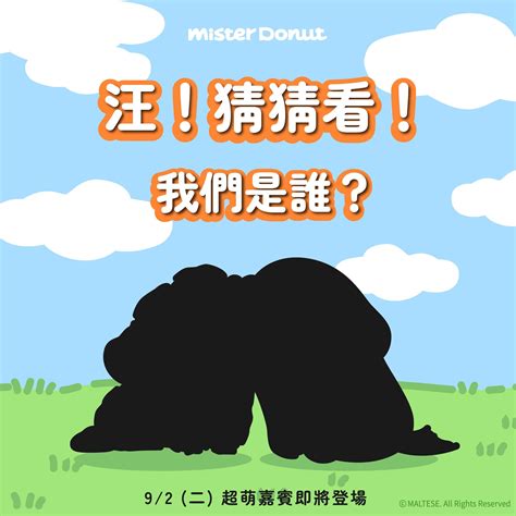 Mister 汪！汪！ 粉絲們，你猜到了嗎？ ⠀ 超萌的汪汪嘉賓🤍🤎 即將登場 9 2 二 𝖬𝗂𝗌𝗍𝖾𝗋 𝖣𝗈𝗇𝗎𝗍 不見不散 ᐟ ᐟ ⠀ Misterdonut Taiwan