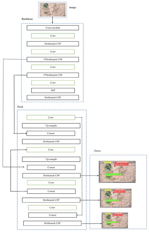 Applied Sciences Free Full Text Formation Of A Lightweight Deep Learning Based Weed