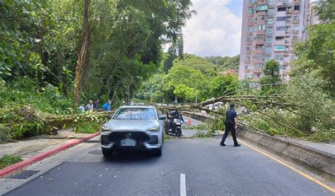 不堪雷雨狂炸數日！北市30米路樹倒塌「砸中轎車」 騎士命大躲一劫 社會 中時新聞網