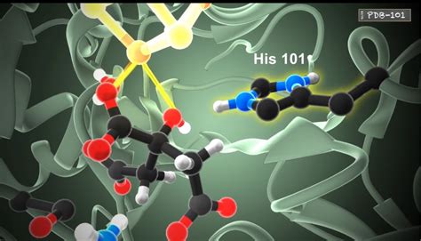 科普 你知道“酶”，每天都在做什么吗？ 小桔灯网 Iivd Net