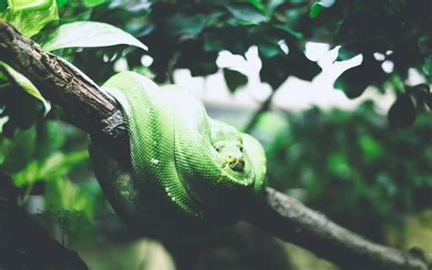 How To Set Up Visual Studio Code For Python Testing And Development
