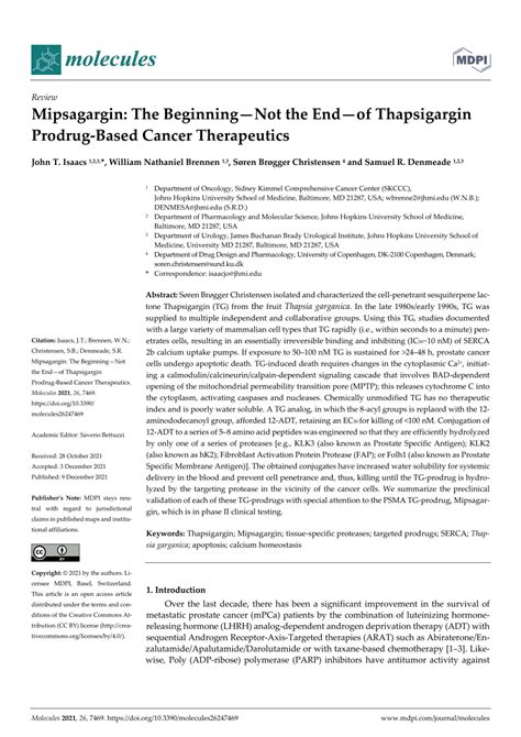 Pdf Mipsagargin The Beginning—not The End—of Thapsigargin Prodrug
