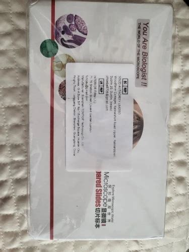 Prepared Microscope Slides