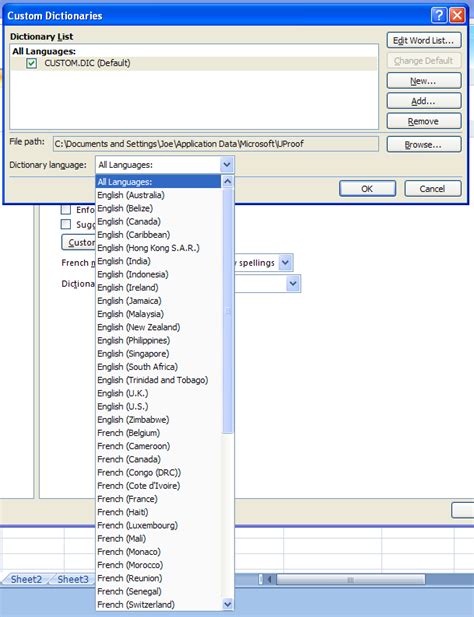 use a custom dictionary spelling editing microsoft office excel