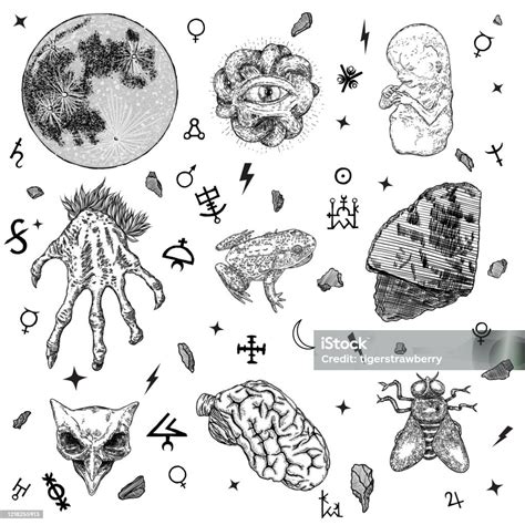 신비한 연금술 이교도 마법 기호 세트 마술 기호와 검은 달입니다 임의의 별이 빛나는 신비한 판타지 배경과 신비주의와 마녀 공예의 영적 예술 손톱 정맥 마녀 손 벡터 개체