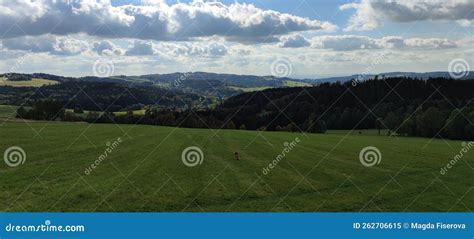 A Frozen Window Like Trees Landscape Stock Image Image Of Scenery Beautiful 262706615