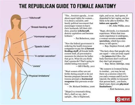 Female Private Part Diagram Reproductive System Of Female Proprofs
