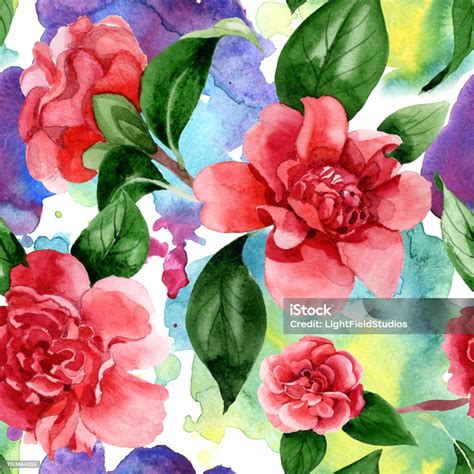 핑크 카멜리아 꽃 식물 꽃입니다 수채화 배경 그림 집합입니다 완벽 한 배경 패턴입니다 0명에 대한 스톡 벡터 아트 및 기타 이미지 0명 꽃 식물 꽃봉오리 Istock