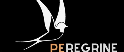 the peregrine programming language a python like language that s as fast as c dev community