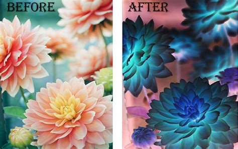 How To Invert Colors In Photoshop Step By Step Tutorial How To Invert Colors In Photoshop Step By Step Tutorial