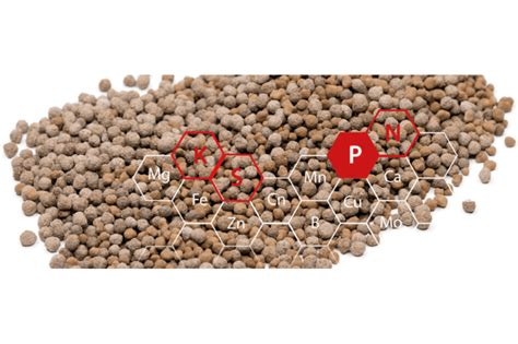 Phosphorus Recycling Glatt Integrated Process Solutions