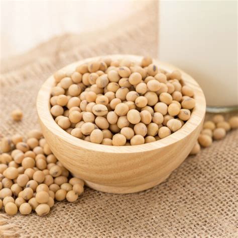 Soybean Extract Powder Green Life Natural Innovative Extraction