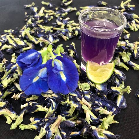 What Is Dried Butterfly Pea Flowers At Kenneth Negron Blog