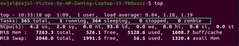How To Monitor System Activity In Linux Top Command Geeksforgeeks