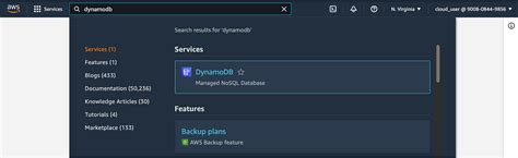 Luit Ec2 Dynamodb And Iam Roles Based Permissions By Moxiecloud Medium