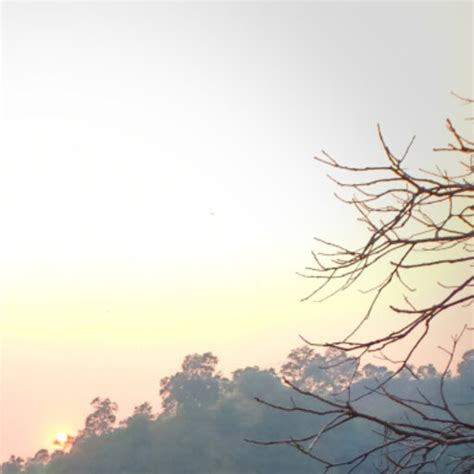 Deepa Rawat Csir Srf Central Salt And Marine Chemicals Research