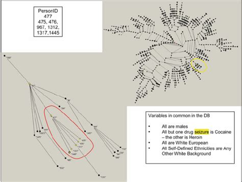 13 The Figure Shows The Positioning On The Mst Graph Of Subjects