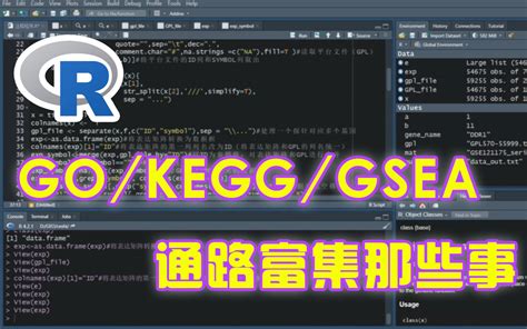 【chiplot】绘制圈形kegg go富集图