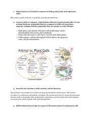 A Tour Of The Cell Chapter Pdf What Features Are Found In Common In Both Prokaryotic And