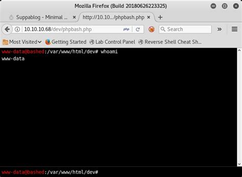 bashed hackthebox writeup netosec