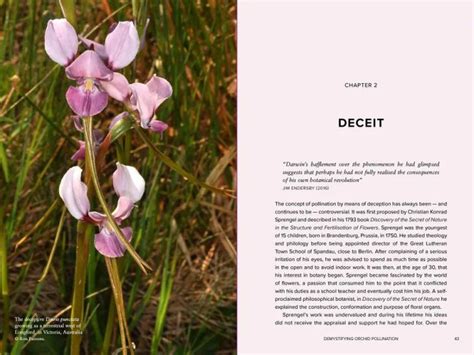 Demystifying Orchid Pollination Stories Of Sex Lies And Obsession Nokomis