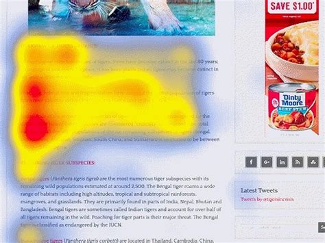 Usabiilty Testing And User Experience Research Consulting NN G