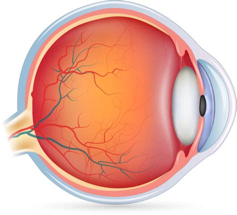 Zeaforce For Good Eyesight