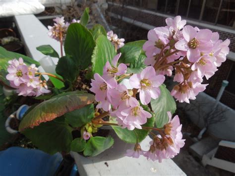 행복의 비밀 한 가지