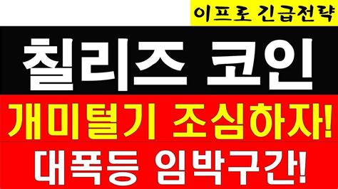 칠리즈 코인 개미털기 조심하자 대폭등 임박구간 도지코인 솔라나 코뿔소tv 솔라 리플 아크 유엑스링크