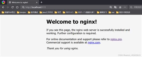 nginx在windows上一闪而退，启动办法 windos nginx 启动一闪而过 csdn博客