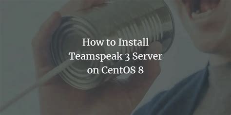 How To Install Teamspeak 3 Server On Centos 8