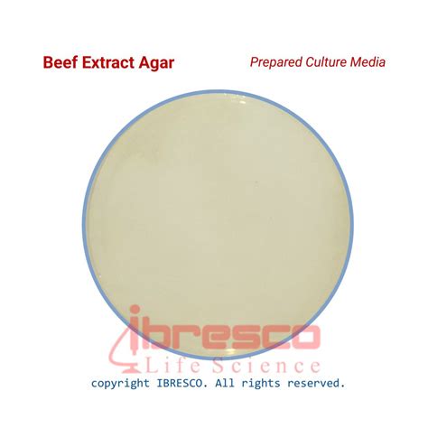 Beef Extract Agar بیف اکسترکت آگار Ibresco