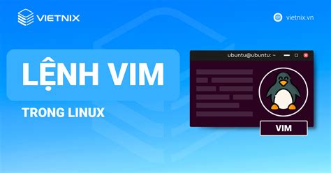 Hướng Dẫn Cách Sử Dụng Cơ Bản Lệnh Vim Trong Linux