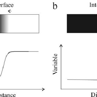 PDF An Introduction To Phase Field Modeling Of Microstructure Evolution