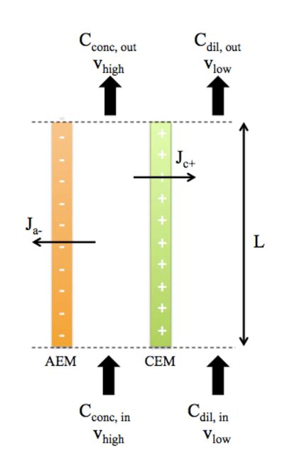 Figure S Schematic Representation Of The Cell Pair Download Scientific Diagram