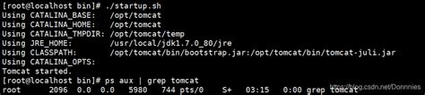 在linux下tomcat已启动，但是查不到进程为什么linux下tomcat启动成功了但是进程里找不到 Csdn博客