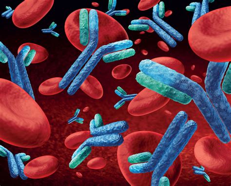 Eqa Schemes Technopath