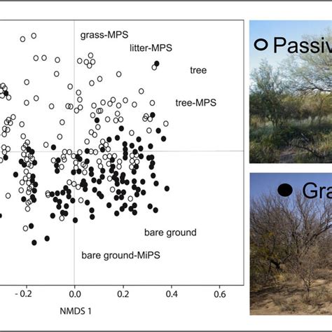 Nonmetric Multidimensional Scaling Ordination Showing Differences In