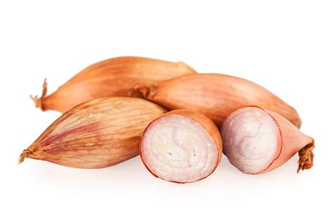 エシャロット | 世界の食べ物用語辞典