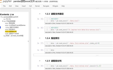 Python Jupyter 之pandas读取excel文件（相对绝对路径，认识dataframe、series，选择索引、列、多个sheet）哔哩哔哩bilibili