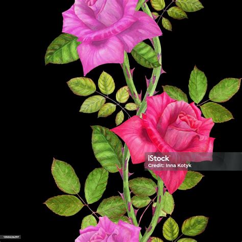 장미 꽃 모티브추상 벽지 매끄러운 패턴 벽지 인쇄된 자료 표지판 포스터 엽서 포장을 사용하십시오 검은색에 대한 스톡 벡터 아트