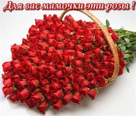 Красивое поздравление с Днем матери Букет красной розы Красная роза Красные розы